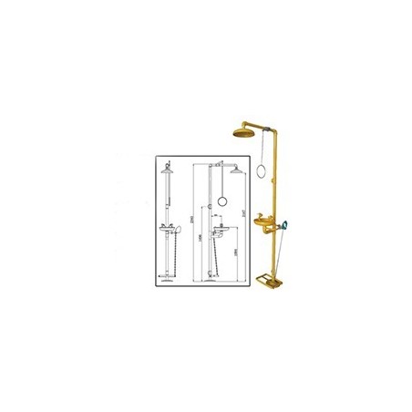 Centurion SS -S100 Emergency Shower & Eyewash Station - Buy Online